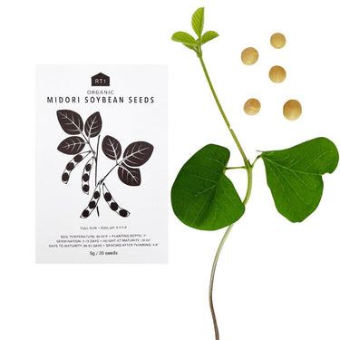 Japanese Spring Vegetable Seeds - Pack of 5 – Nagamochi Shop