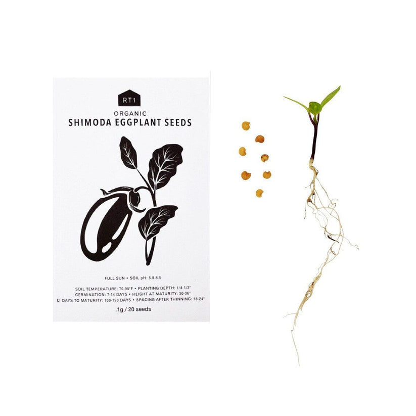 Japanese Spring Vegetable Seeds - Pack of 5 – Nagamochi Shop