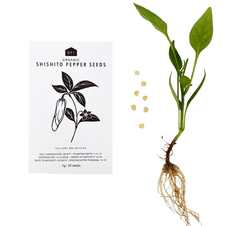 Japanese Spring Vegetable Seeds - Pack of 5 – Nagamochi Shop